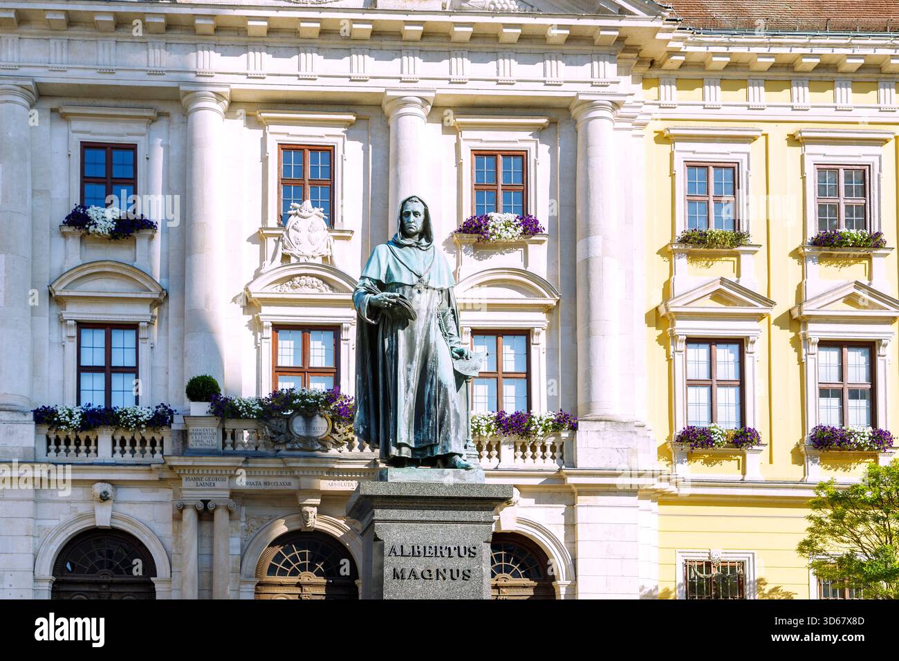 Neoclassical town hall and statue of Saint Albertus Magnus on the ...