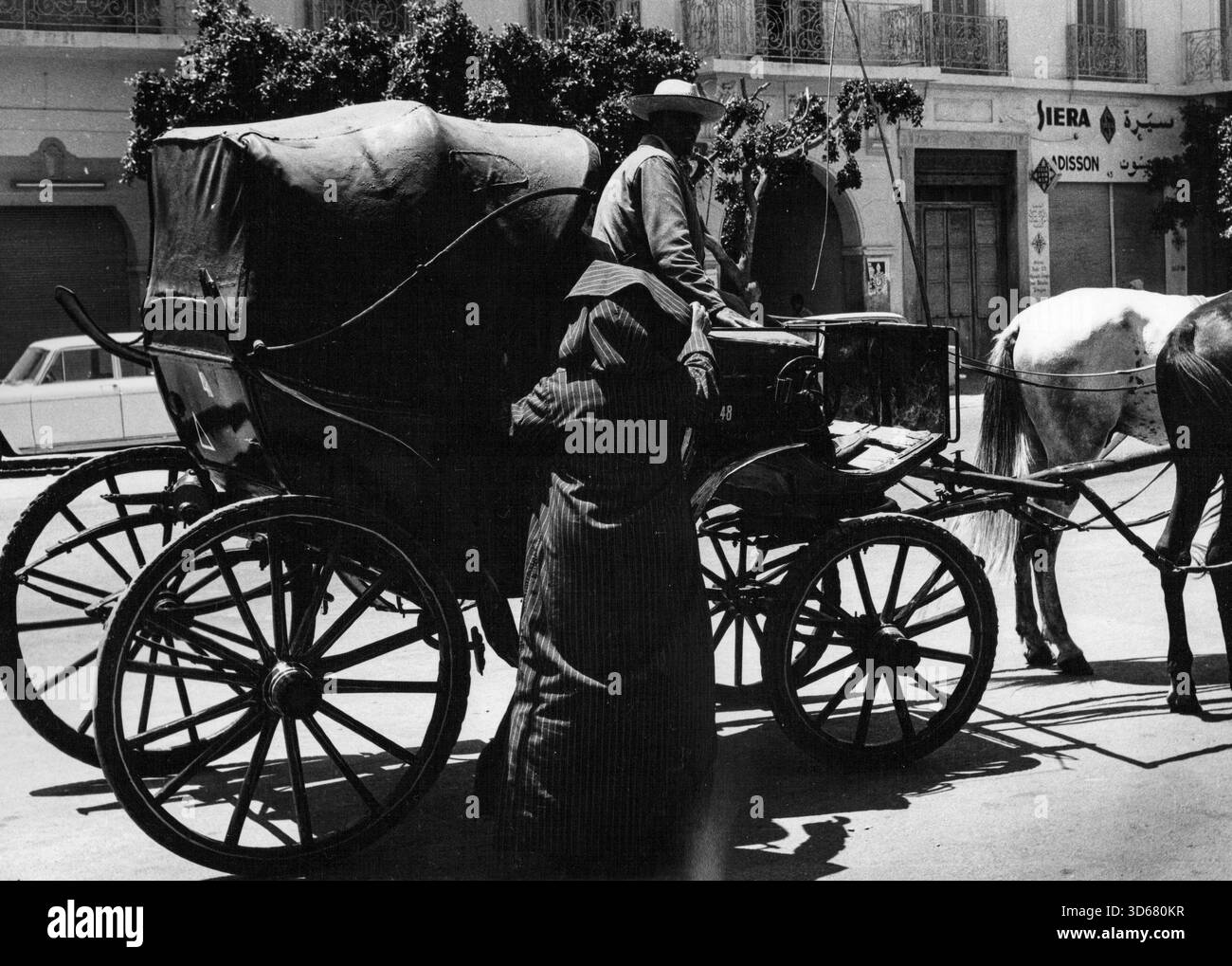 Mid summer scene Black and White Stock Photos & Images - Alamy