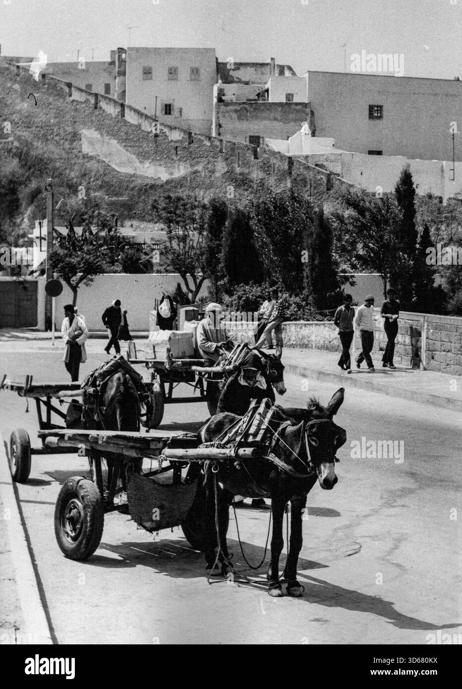 Sunny city street scene Black and White Stock Photos & Images - Alamy