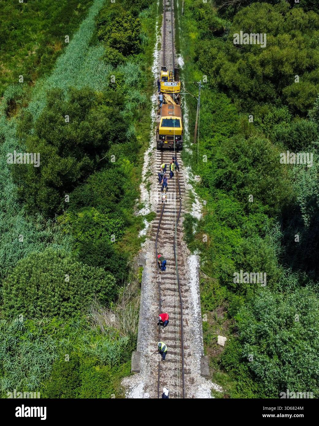 Aerial view of a train and workers on the tracks cutting through lush ...