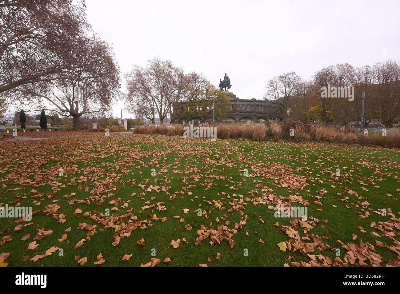 19 November 2025, Rhineland-Palatinate, Koblenz: Autumn leaves lie ...