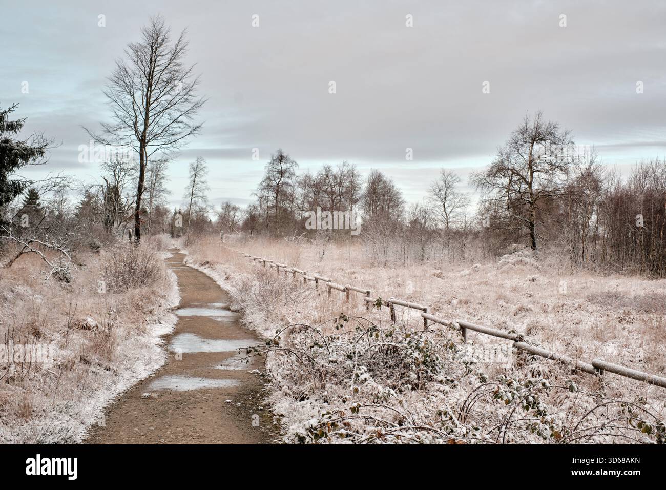 Landscape with the first snow in Waimes near the Baraque Michel, on ...