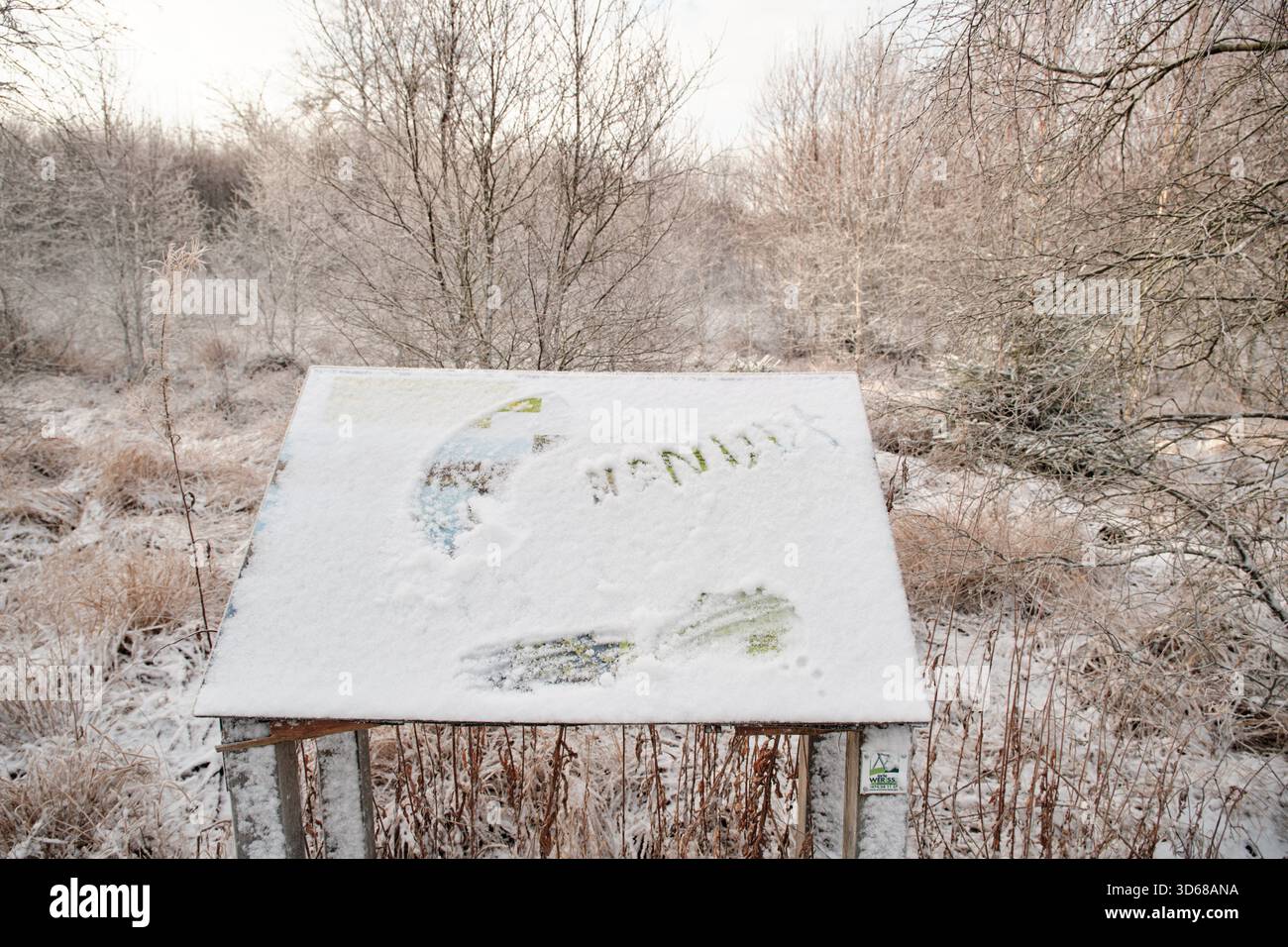 Landscape with the first snow in Waimes near the Baraque Michel, on ...
