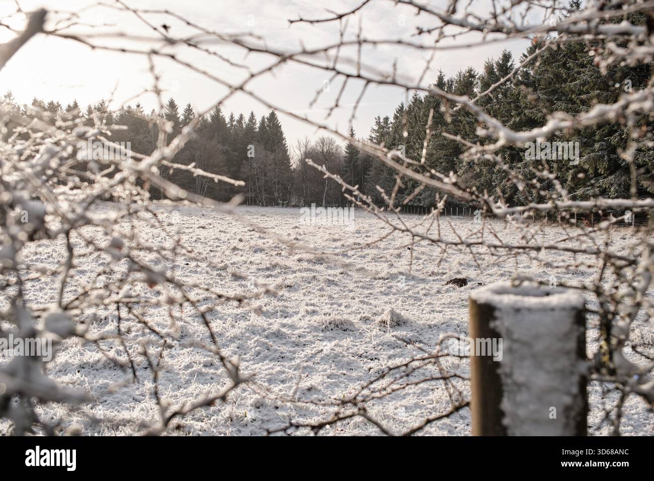 Landscape with the first snow in Waimes near the Baraque Michel, on ...