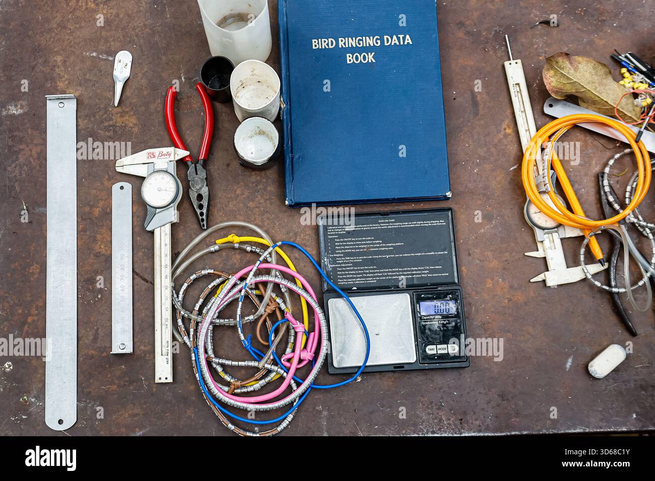 A set of bird ringing tools i.e. wing rulers, ringing pliers, rings, a ...