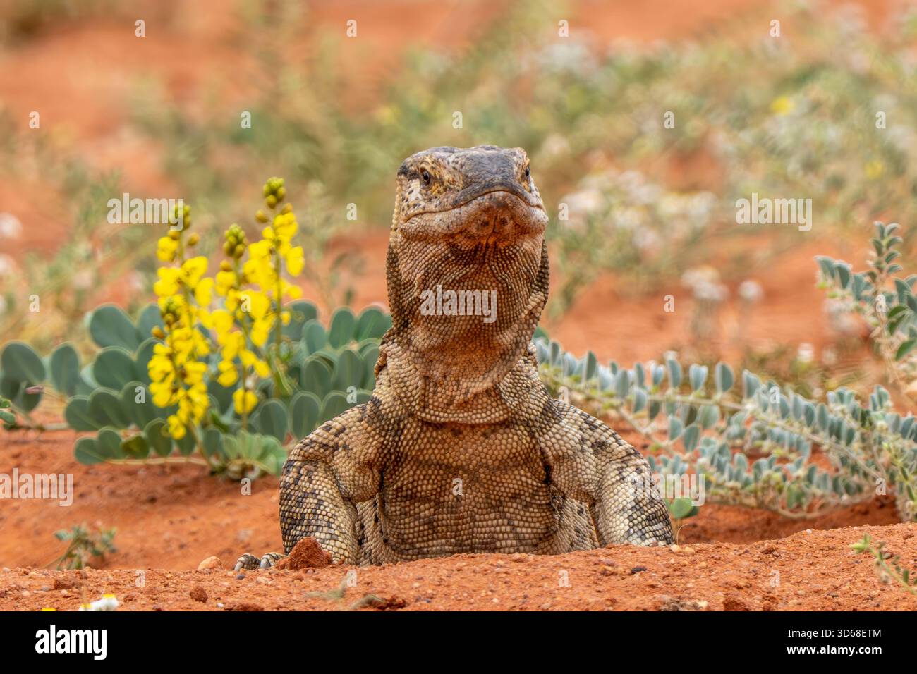 Upscaled with Gigapixel v8.4.4. 2817x1878 => 5634x3756 (2x) Model ...