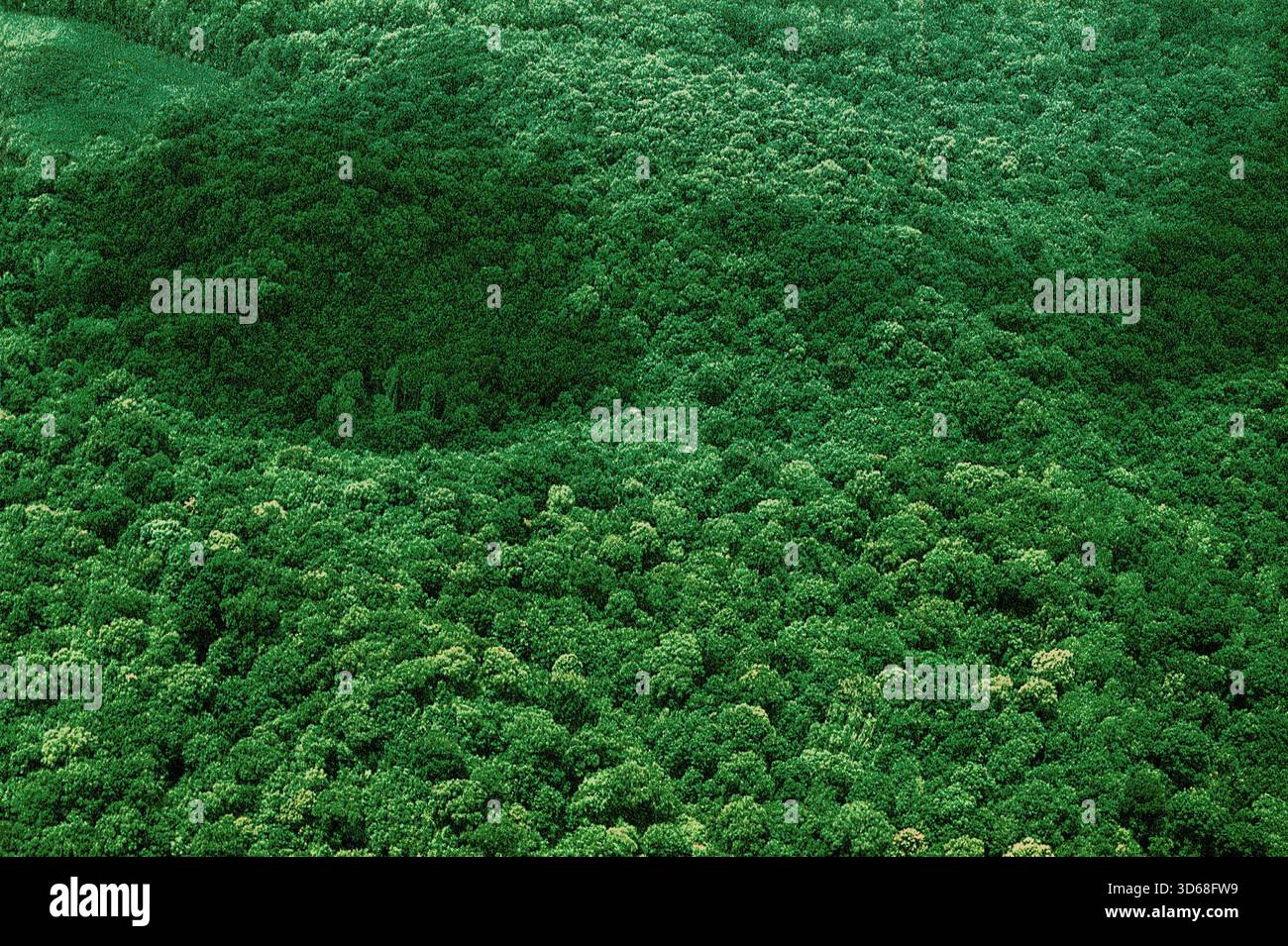 Ancient hunting reserve of the bourbons hi-res stock photography and ...