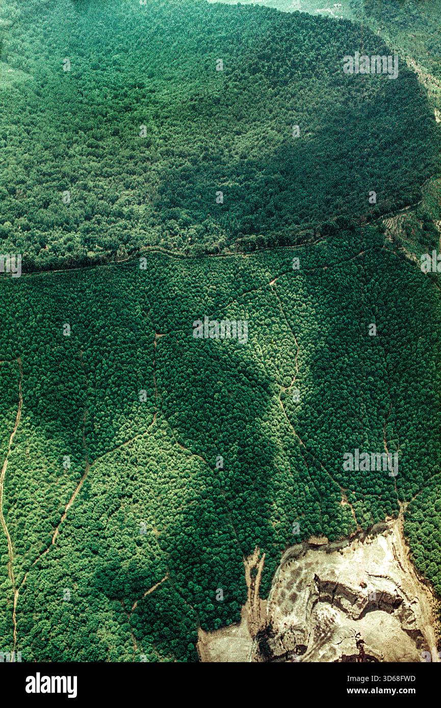 Ancient hunting reserve of the bourbons hi-res stock photography and ...
