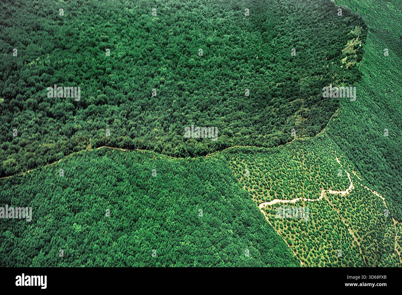 Ancient hunting reserve of the bourbons hi-res stock photography and ...