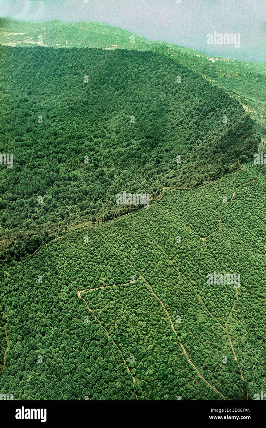 Ancient hunting reserve of the bourbons hi-res stock photography and ...