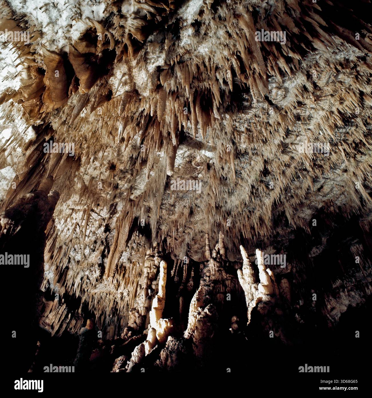 Nature, Italy, region of Puglia 1975 Grotte di Catellana (Castellana ...