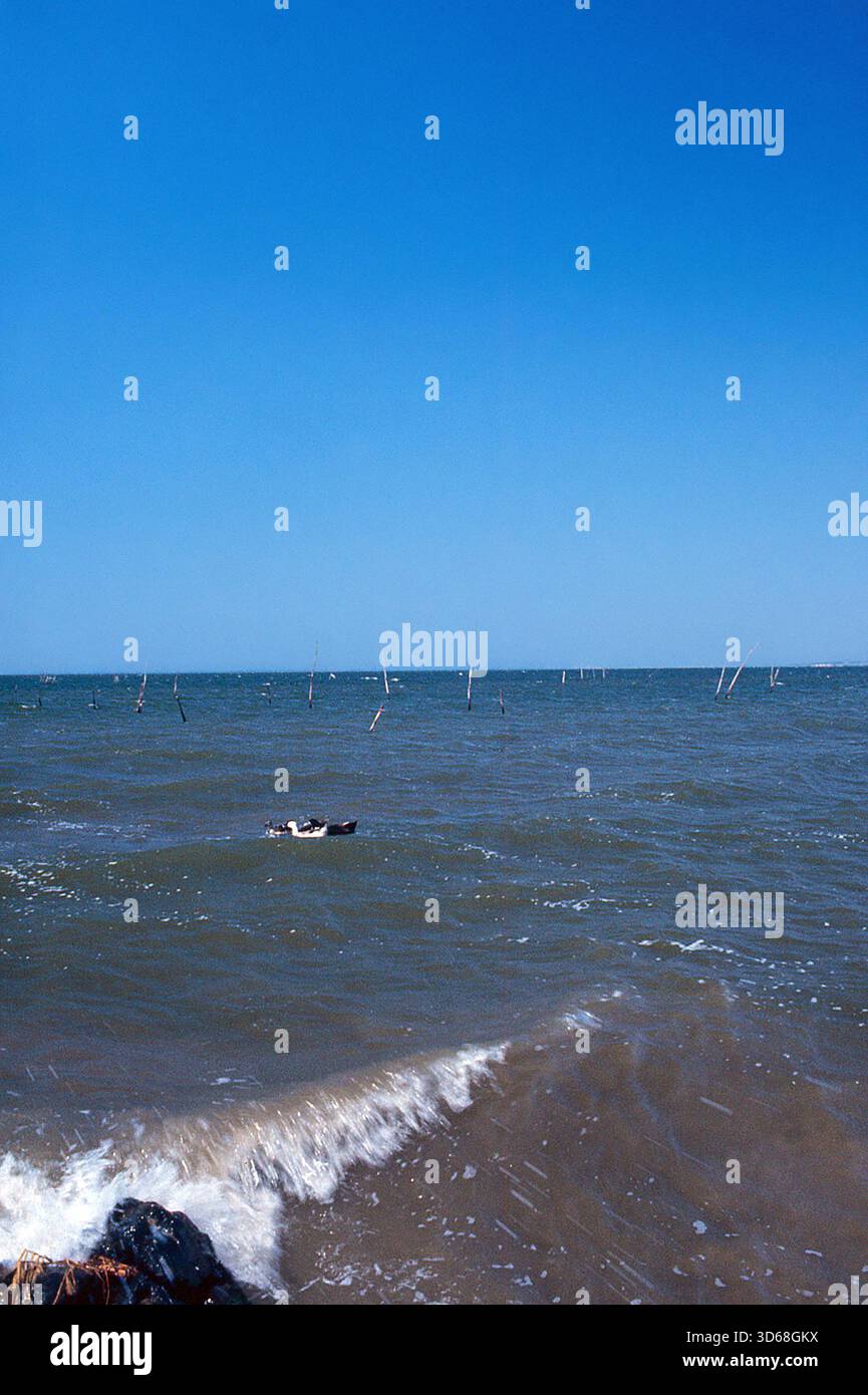 Nature, Italy, region of Puglia 1975 Lago di Lesina (Lesina lake Stock ...