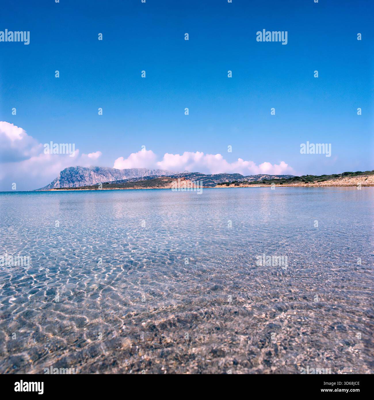 Nature, Italy, region of Sardegna 1975 Punta Coda Cavallo - Isola di ...