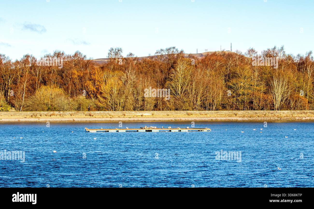 Dundee, Tayside, Scotland, UK. 19th Nov, 2025. UK Weather: Dundee ...