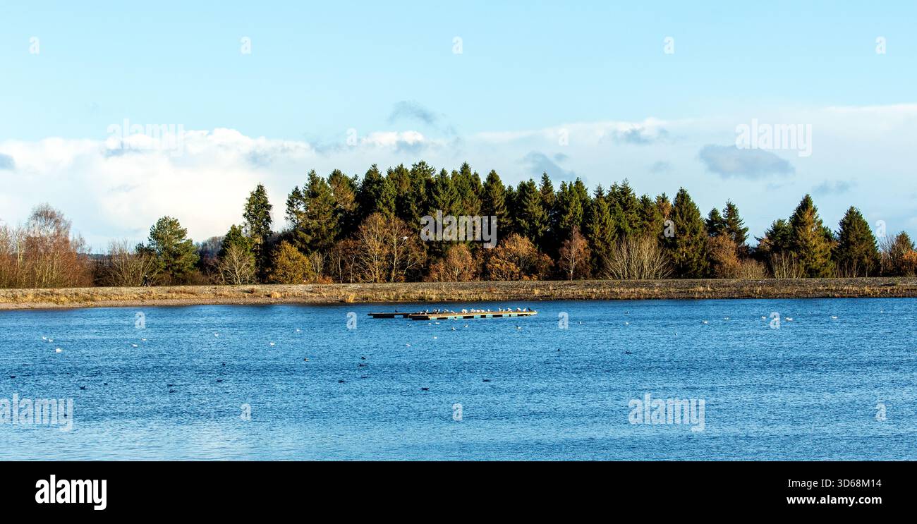 Dundee, Tayside, Scotland, UK. 19th Nov, 2025. UK Weather: Dundee ...