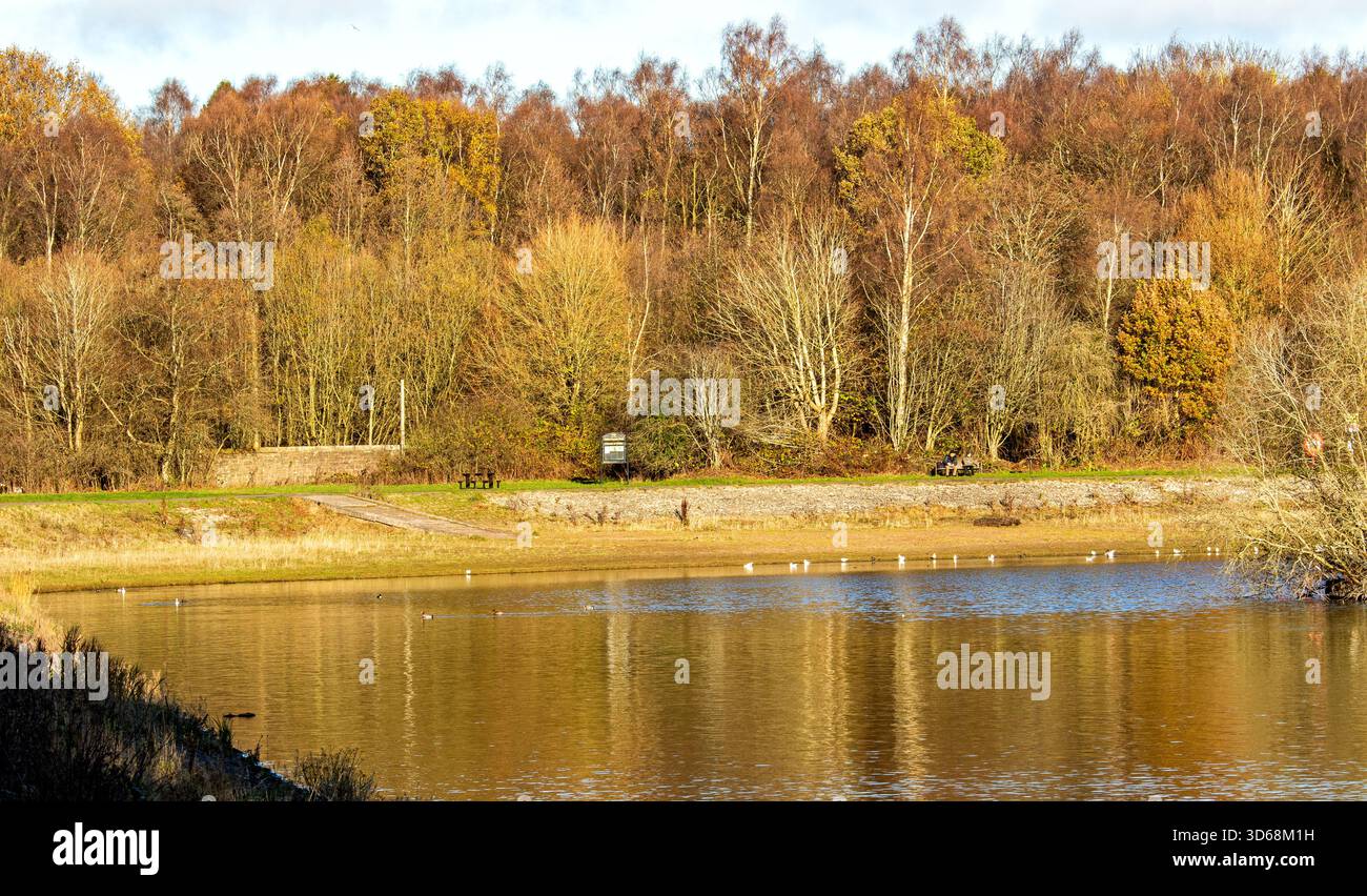 Dundee, Tayside, Scotland, UK. 19th Nov, 2025. UK Weather: Dundee ...