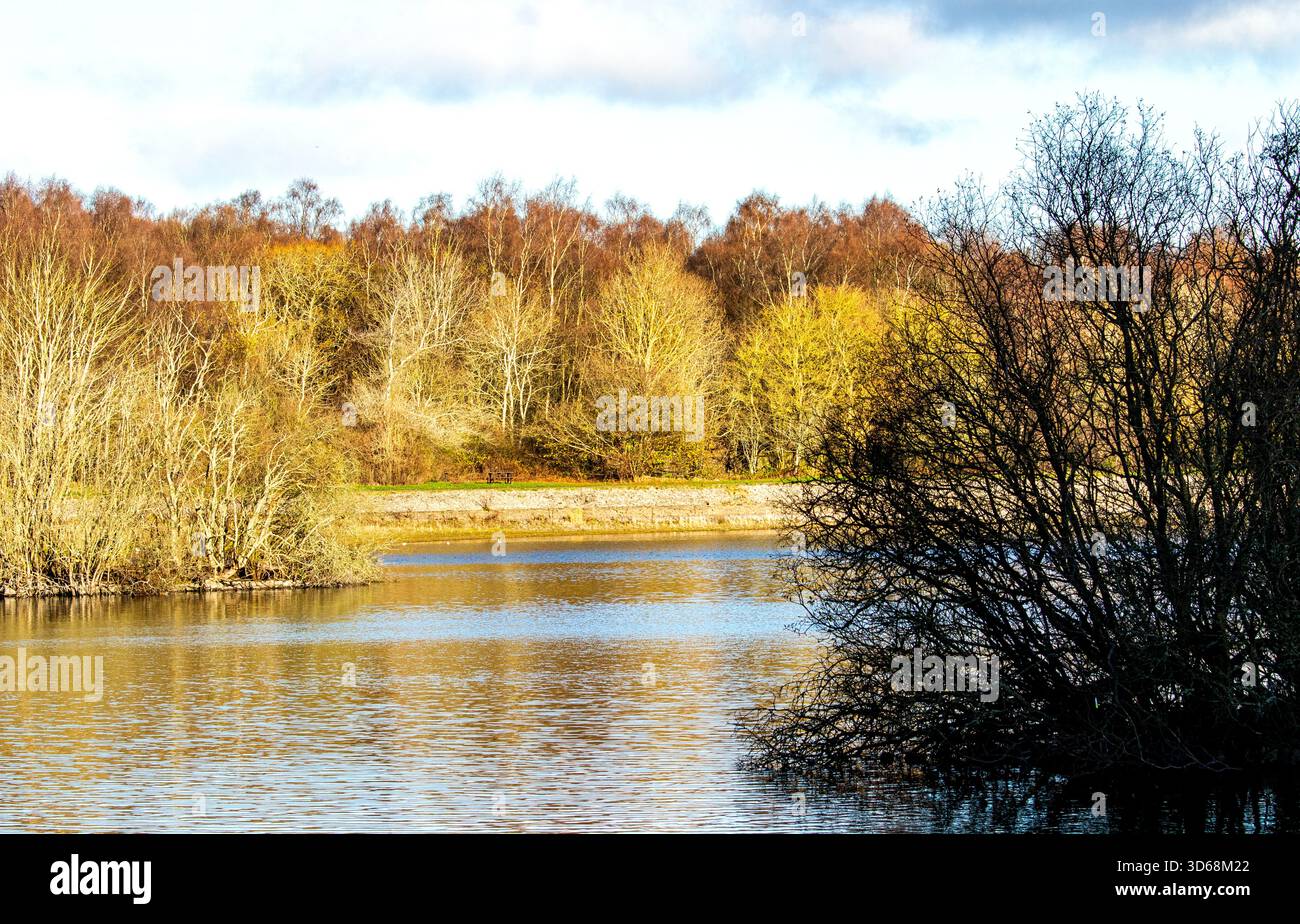 Dundee, Tayside, Scotland, UK. 19th Nov, 2025. UK Weather: Dundee ...