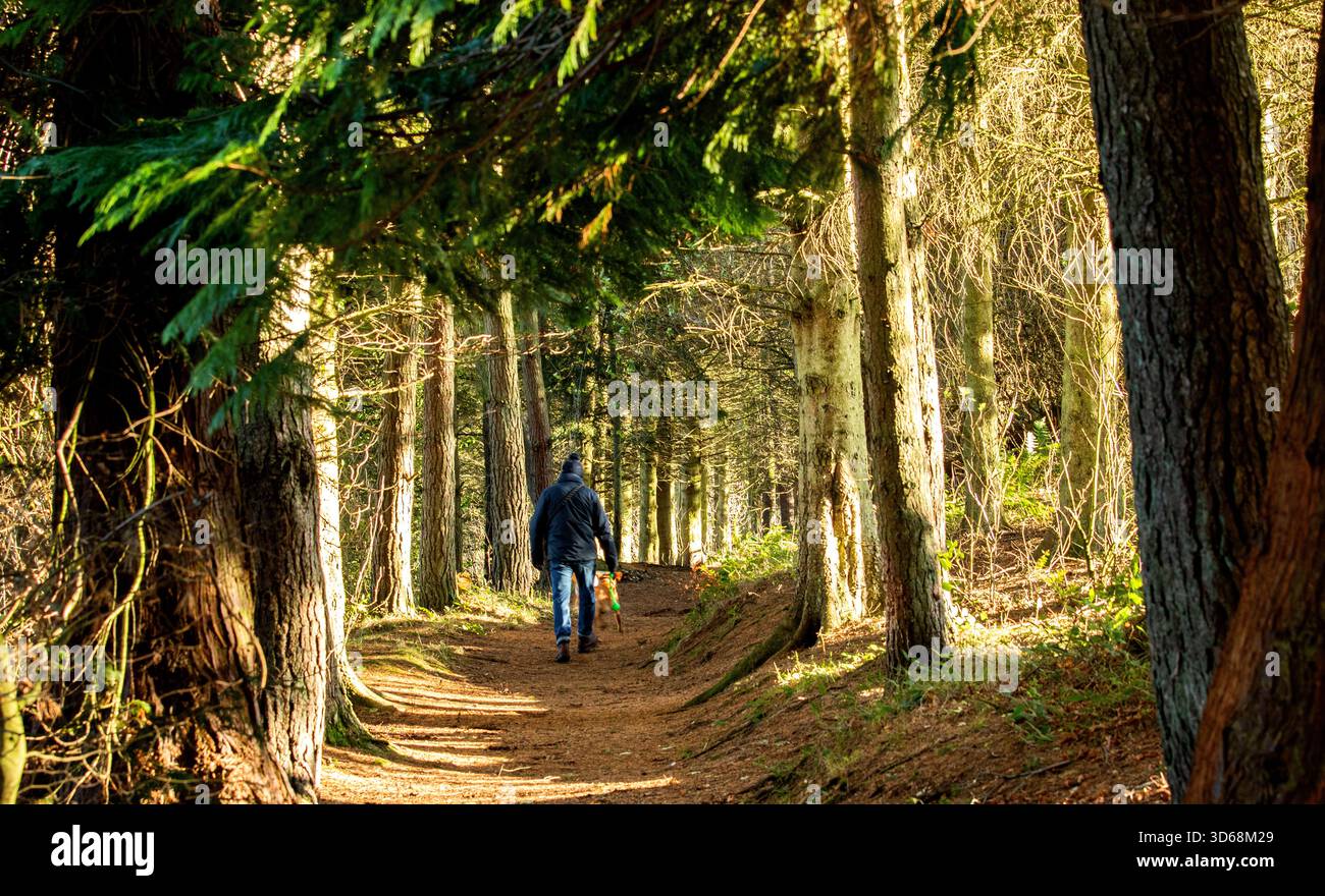 Dundee, Tayside, Scotland, UK. 19th Nov, 2025. UK Weather: Dundee ...