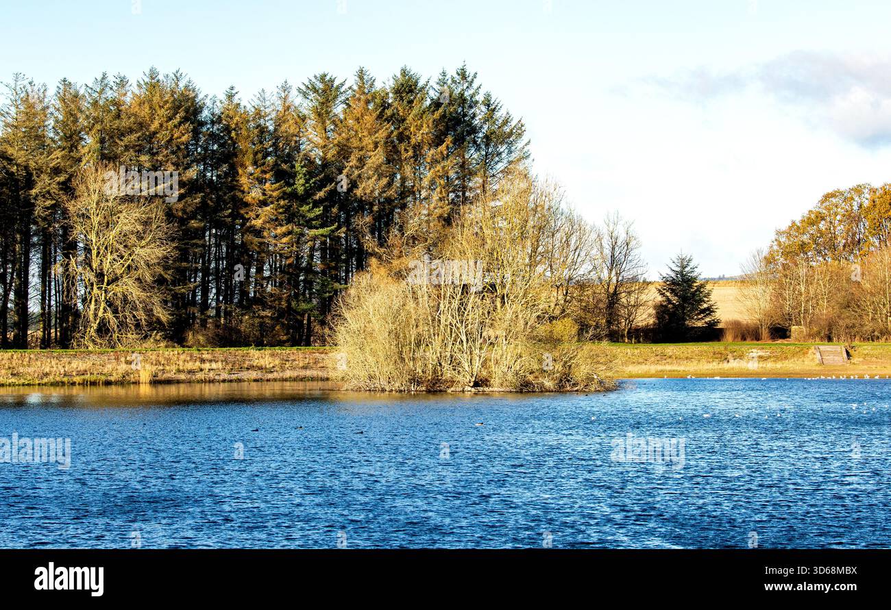 Dundee, Tayside, Scotland, UK. 19th Nov, 2025. UK Weather: Dundee ...