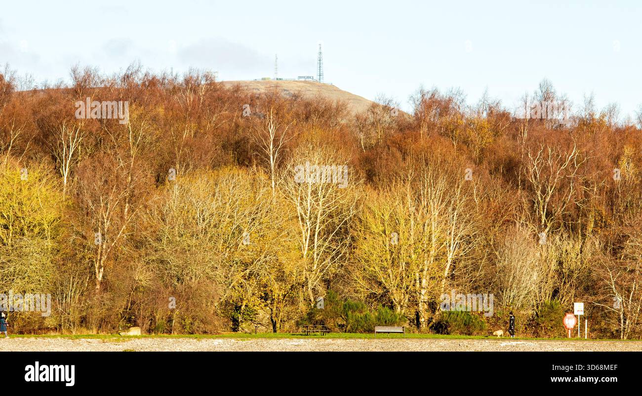 Dundee, Tayside, Scotland, UK. 19th Nov, 2025. UK Weather: Dundee ...