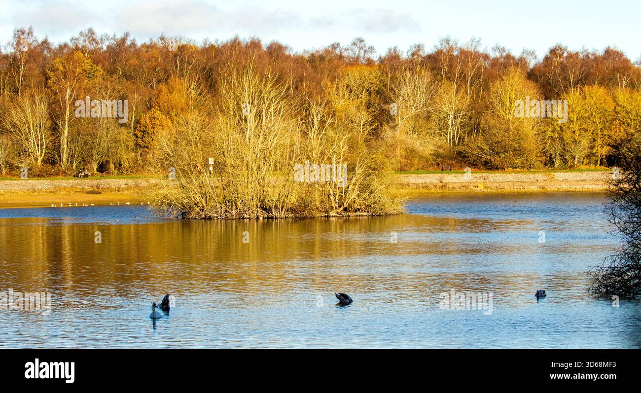 Dundee, Tayside, Scotland, UK. 19th Nov, 2025. UK Weather: Dundee ...