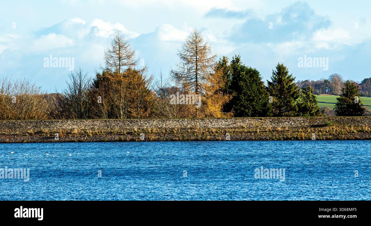 Dundee, Tayside, Scotland, UK. 19th Nov, 2025. UK Weather: Dundee ...