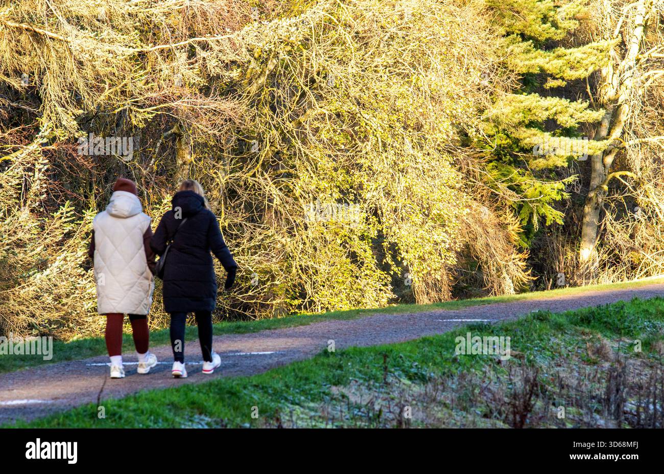 Dundee, Tayside, Scotland, UK. 19th Nov, 2025. UK Weather: Dundee ...