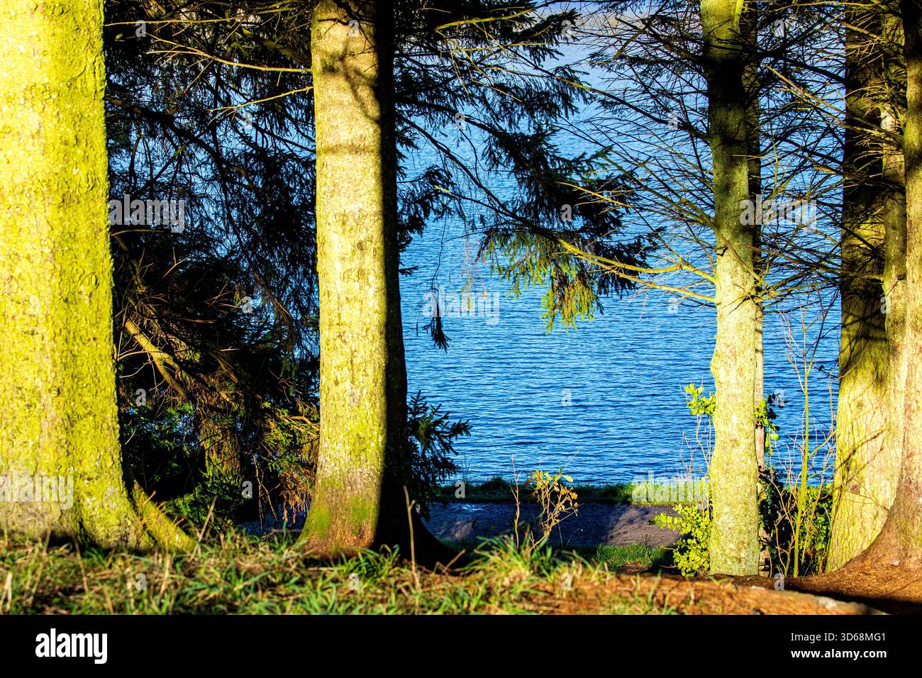 Dundee, Tayside, Scotland, UK. 19th Nov, 2025. UK Weather: Dundee ...