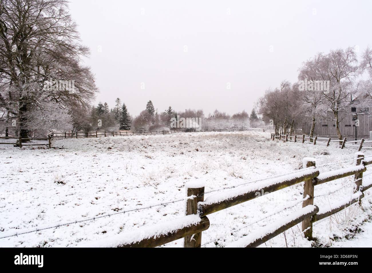 Illustration picture shows the first snow of the year at the Signal de ...