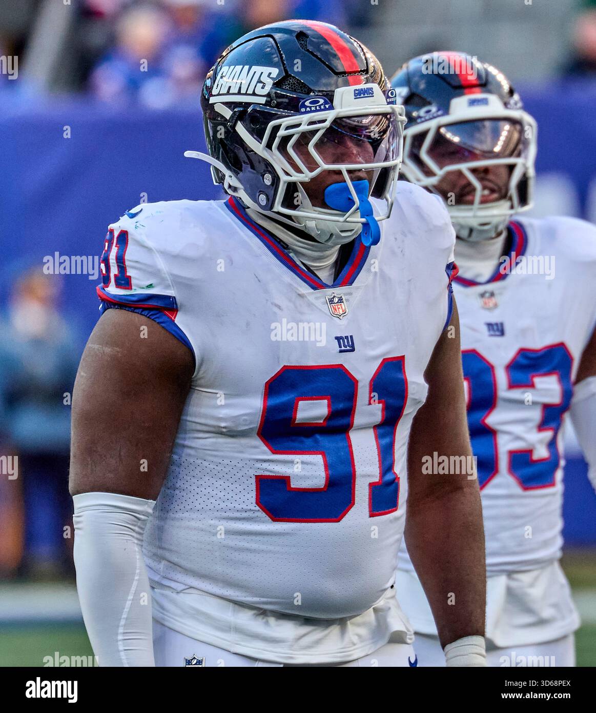 New York Giants defensive tackle Darius Alexander (91) during a NFL ...