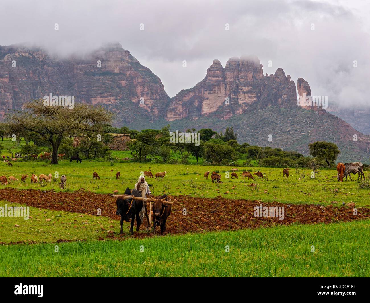 Mariam and Daniel Korkor Monastery, Ethiopia - 21 August 2025 ...