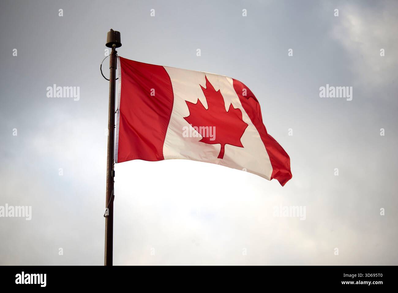 The Canadian flag on a flagpole Stock Photo - Alamy