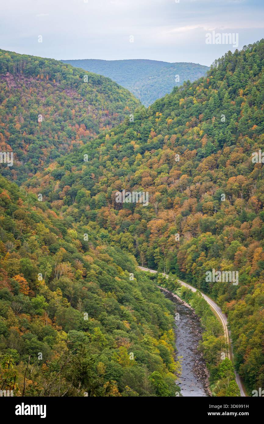 Tioga state forest pennsylvania hi-res stock photography and images - Alamy