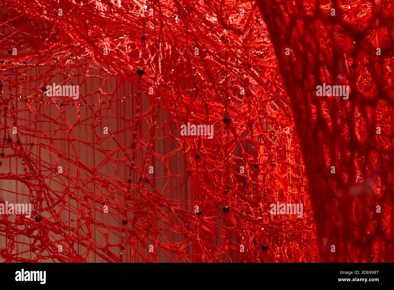 A mesmerizing tangle of red threads forms a dense, abstract web. Light ...