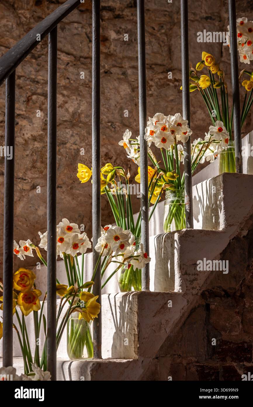Daffodils on a Spiral Staircase, Parish Church of St Philippe De ...