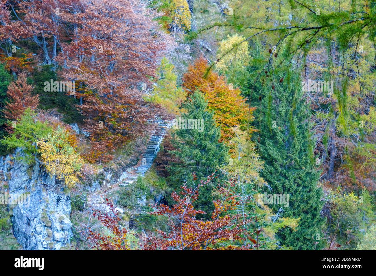 Fall foliage in Italian Switzerland Stock Photo - Alamy
