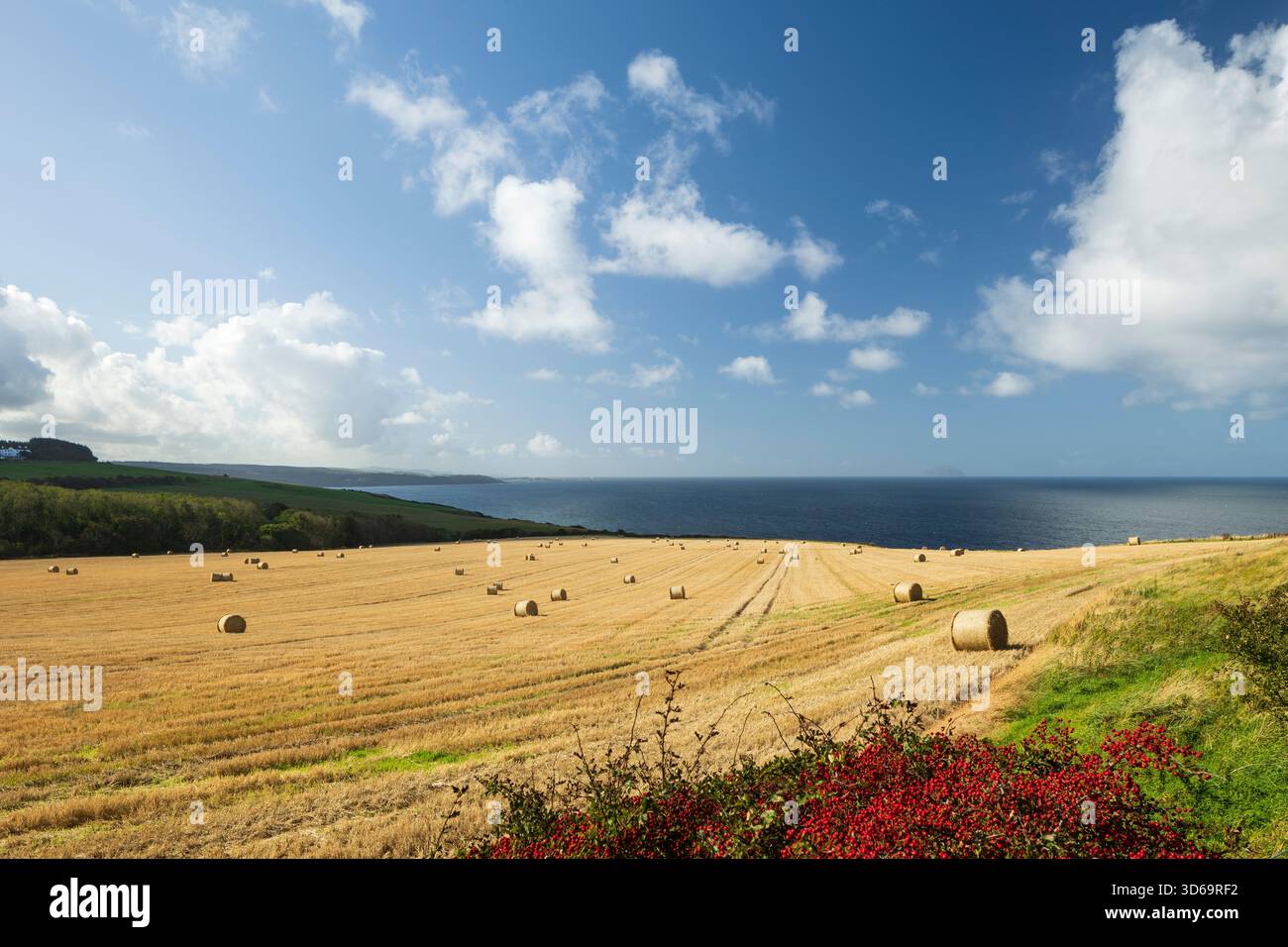 Rural farm land by the coast near Maidens Girvan Ayrshire Scotland ...