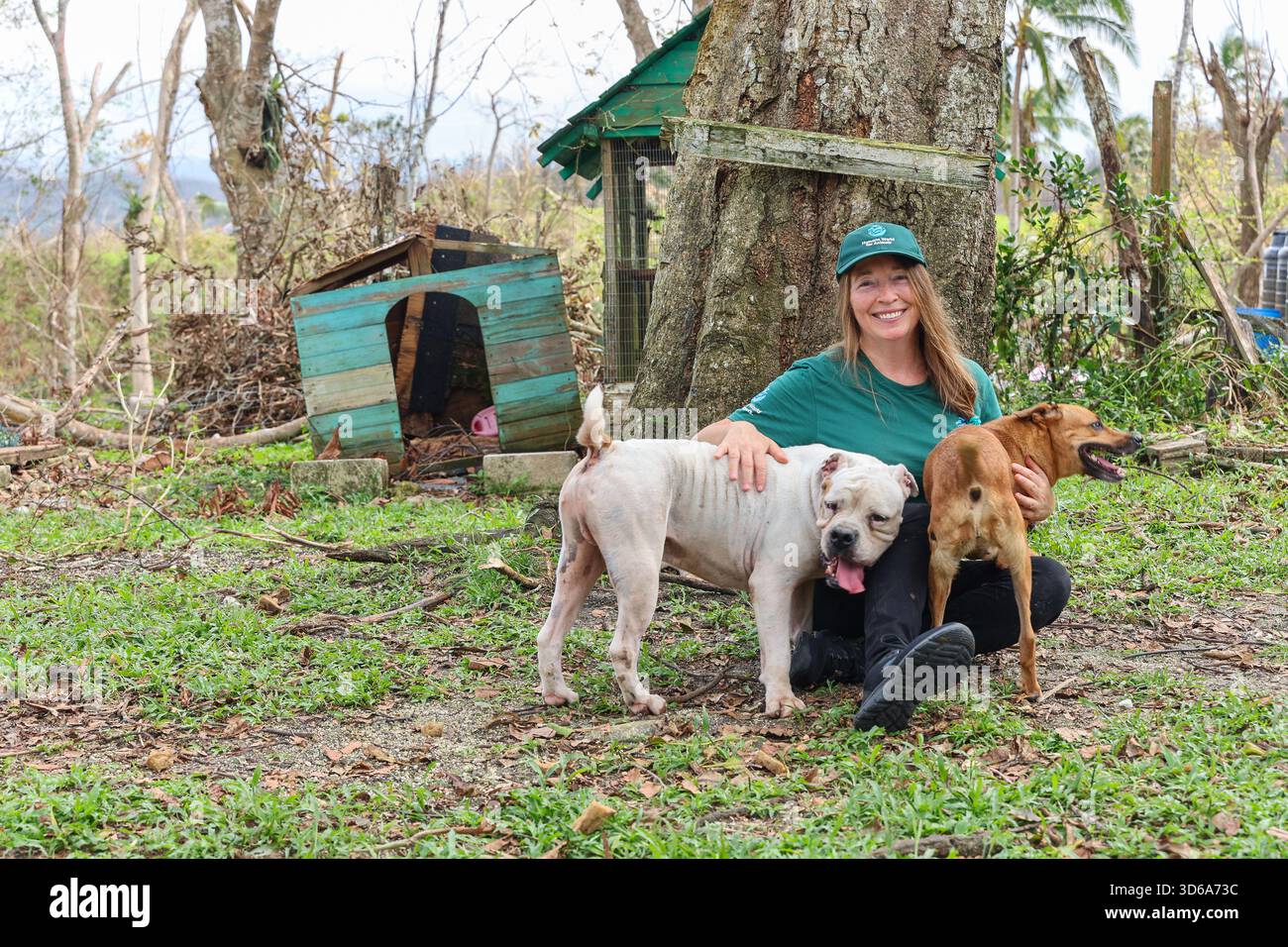 IMAGE DISTRIBUTED FOR HUMANE WORLD FOR ANIMALS - Humane World for ...