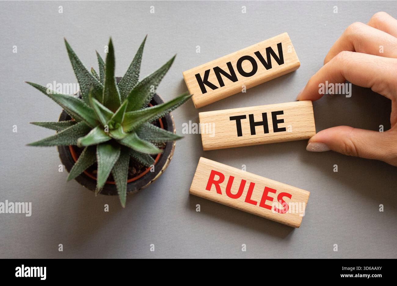 Know the rules symbol. Wooden blocks with words Know the rules ...