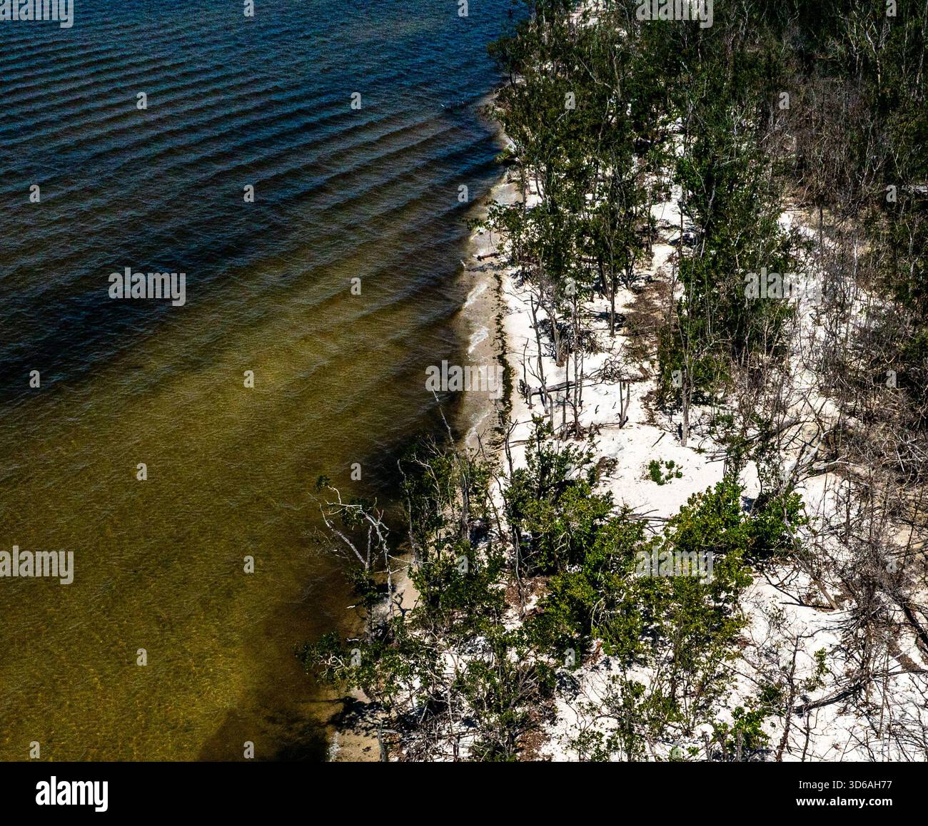 drone aerial view of the Peace River's edge in Punta Gorda, Florida ...