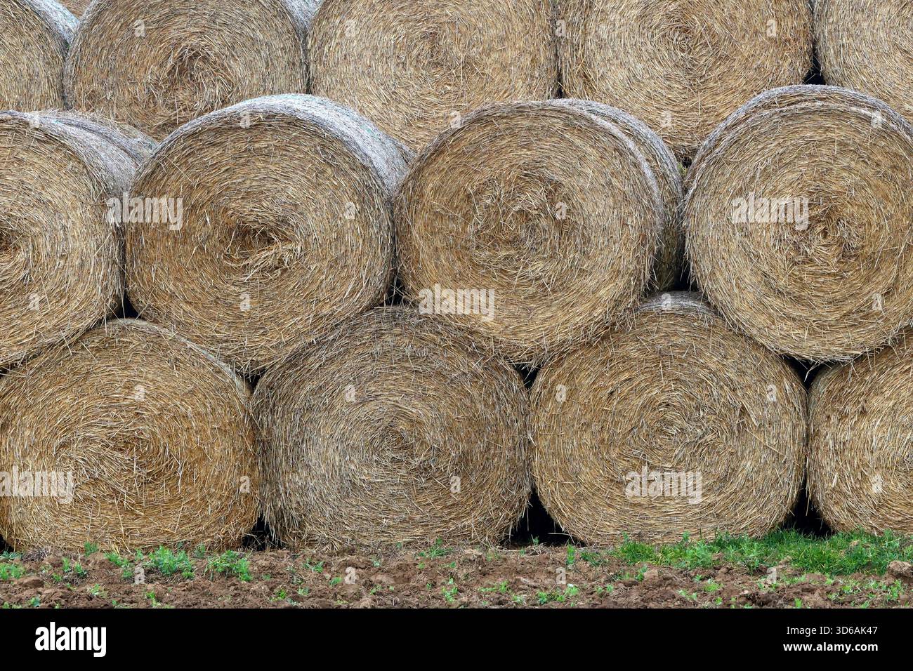 Stacked Round Hay Bales in a Rural Field Stock Photo - Alamy