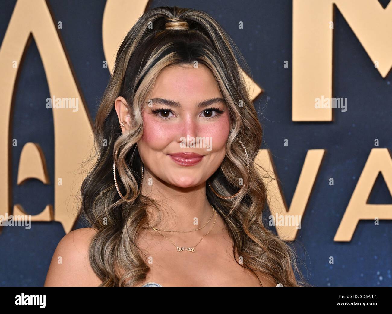 Alison Nichols arrives at the 59th Annual Country Music Association ...