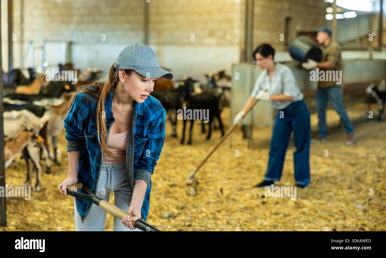 Portrait of active young European female employee working with hay and ...