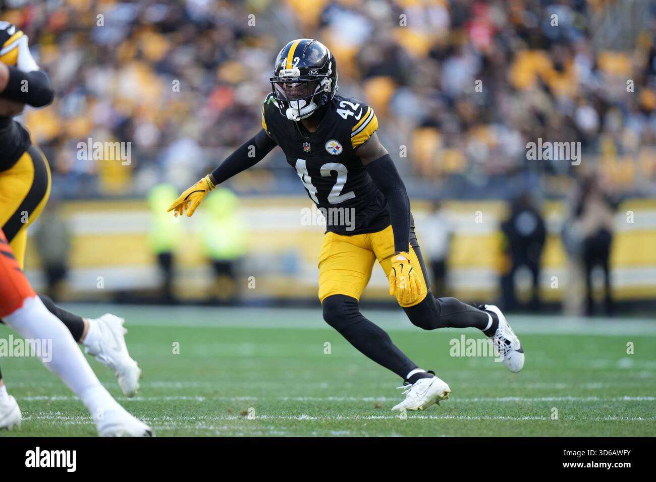 Pittsburgh Steelers cornerback James Pierre (42) defends near the line ...