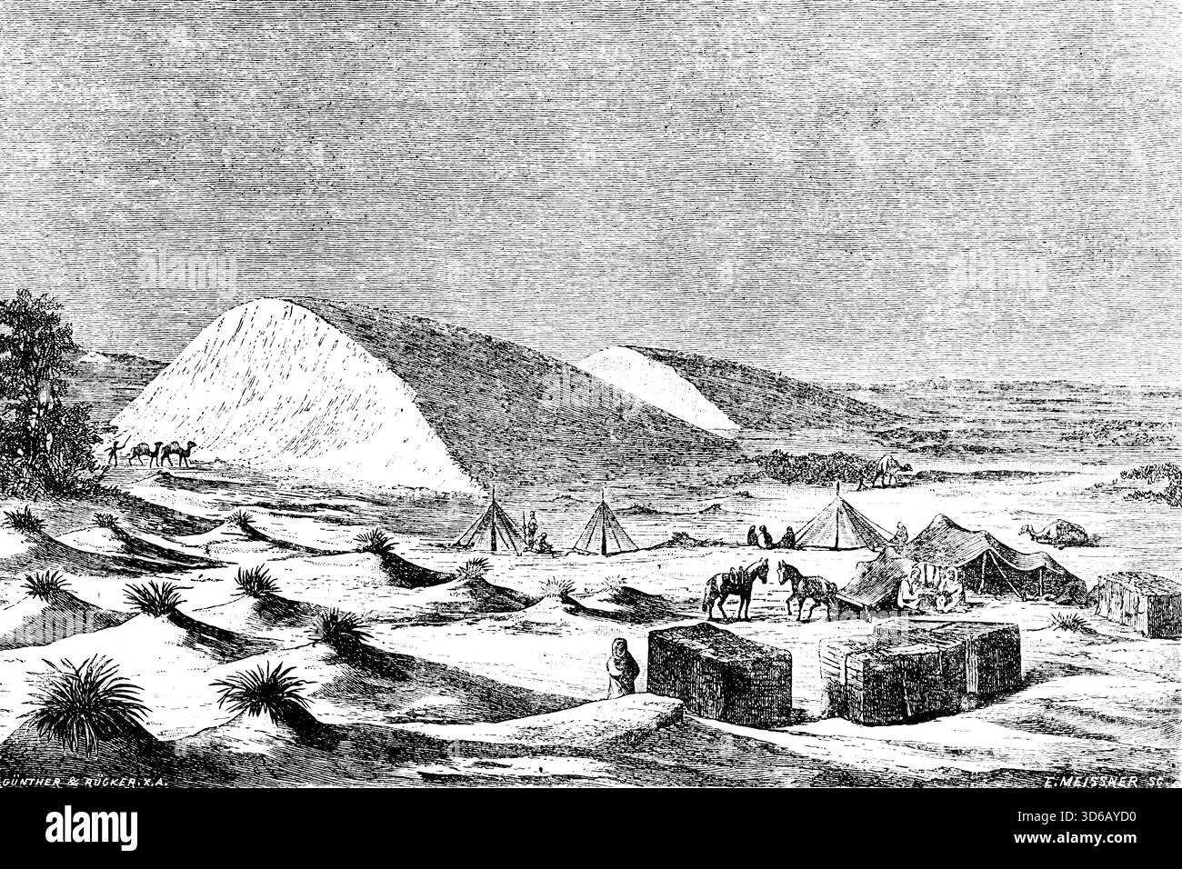 áfrica central tropical Black and White Stock Photos & Images - Alamy