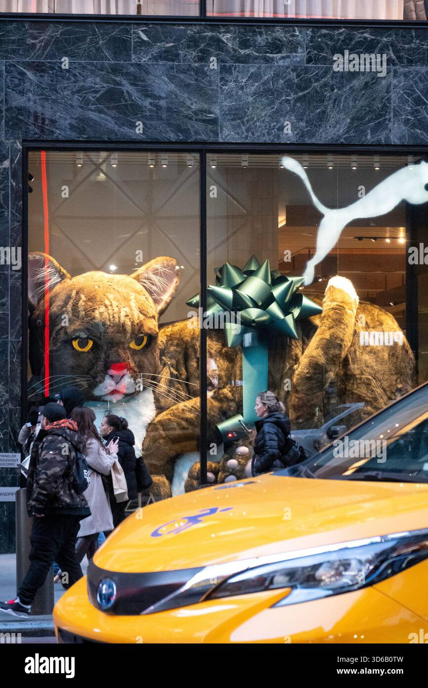Aritzia flagship store is located on Fifth Avenue in New York City, USA ...