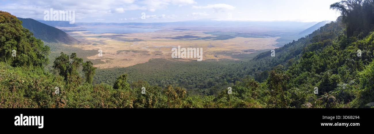 Panorama, view of Ngorongoro Crater, Crater Viewpoint, forest and ...