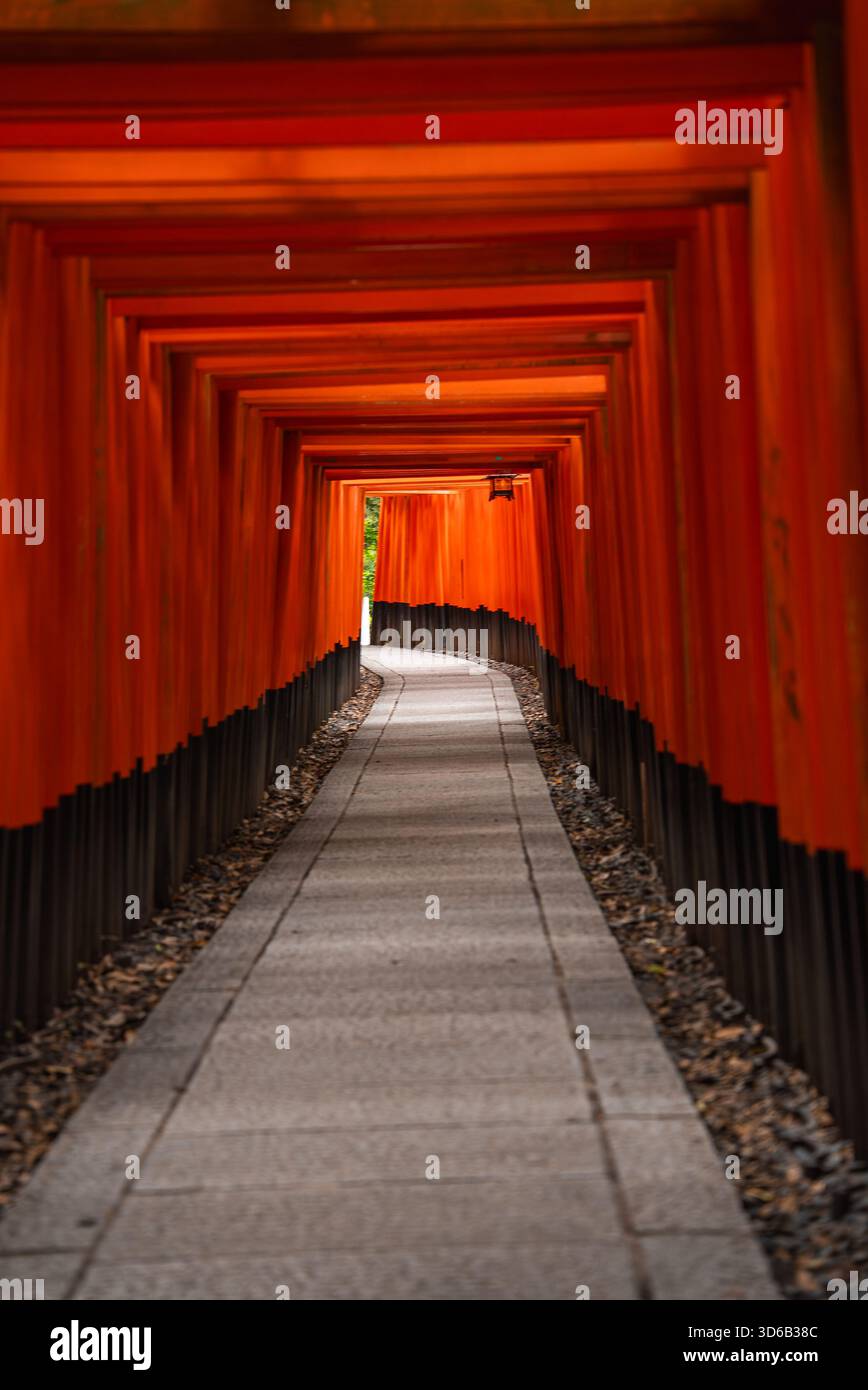 Curving stone path through vermilion torii at Fushimi Inari, Kyoto ...