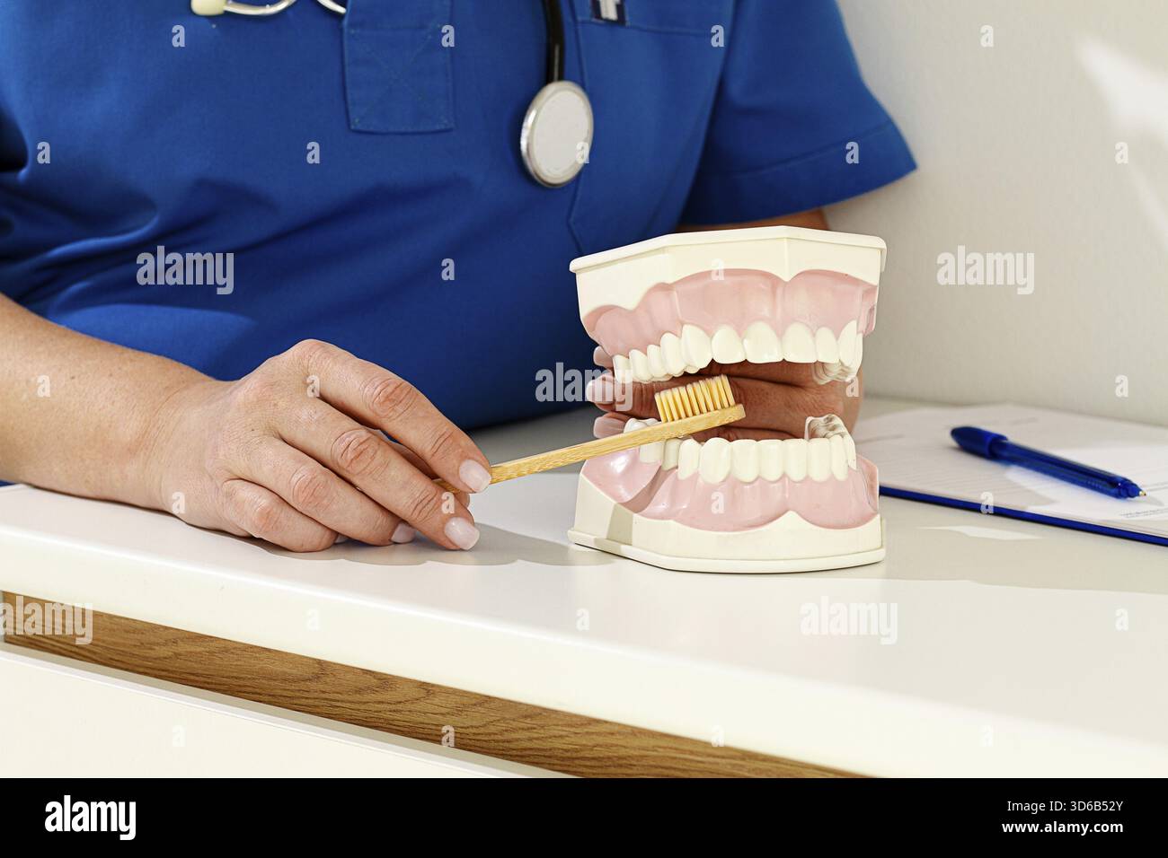 Dentist demonstrates correct technique brushing hi-res stock ...