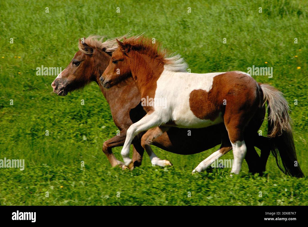 Rhythm across hi-res stock photography and images - Alamy